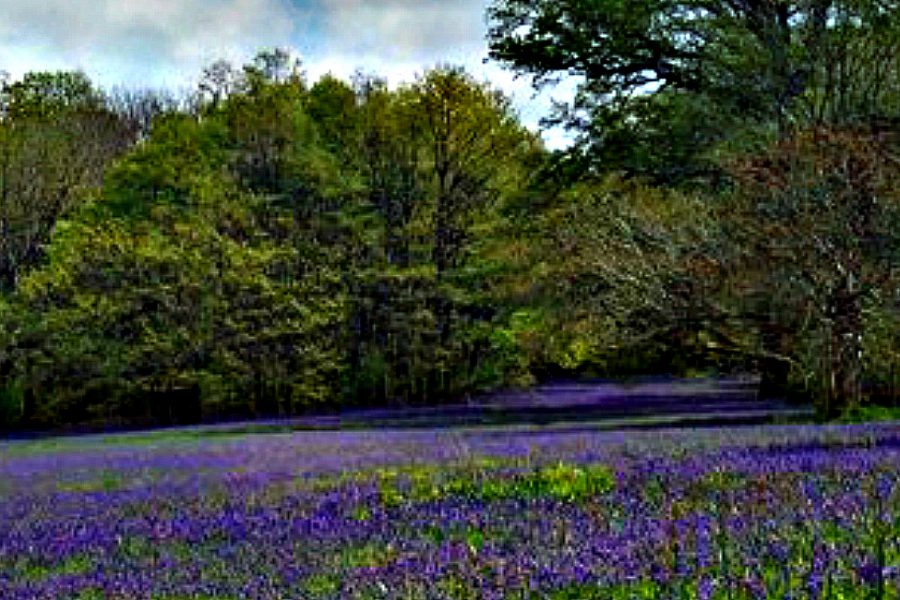 News and Blog - Falmouth Blog | Visit Falmouth / Cornwall